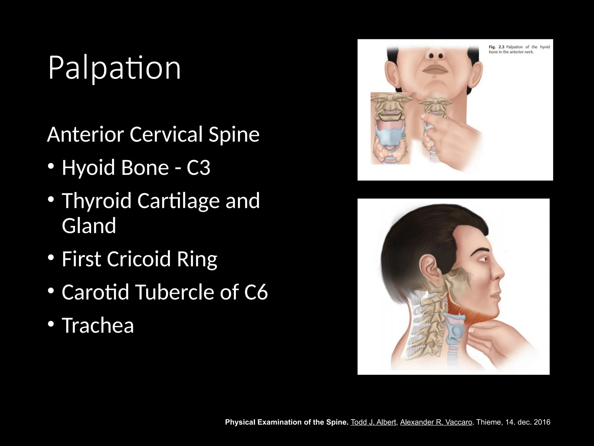 Physical Examination Cervical and Lumbar Spine.pptx