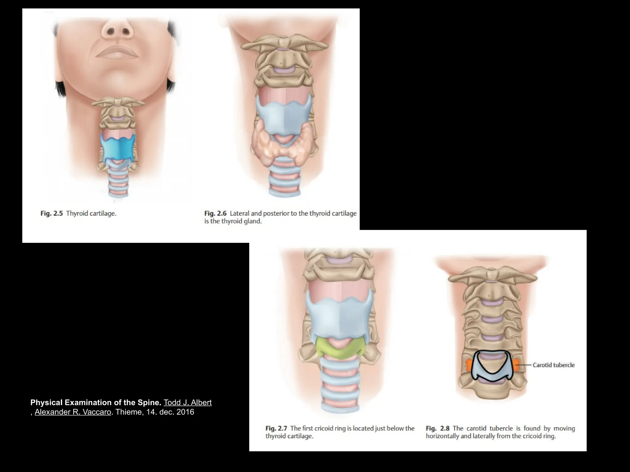 Physical Examination Cervical and Lumbar Spine.pptx