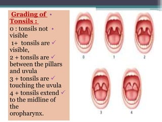 Physical Examination ear (2).pptx