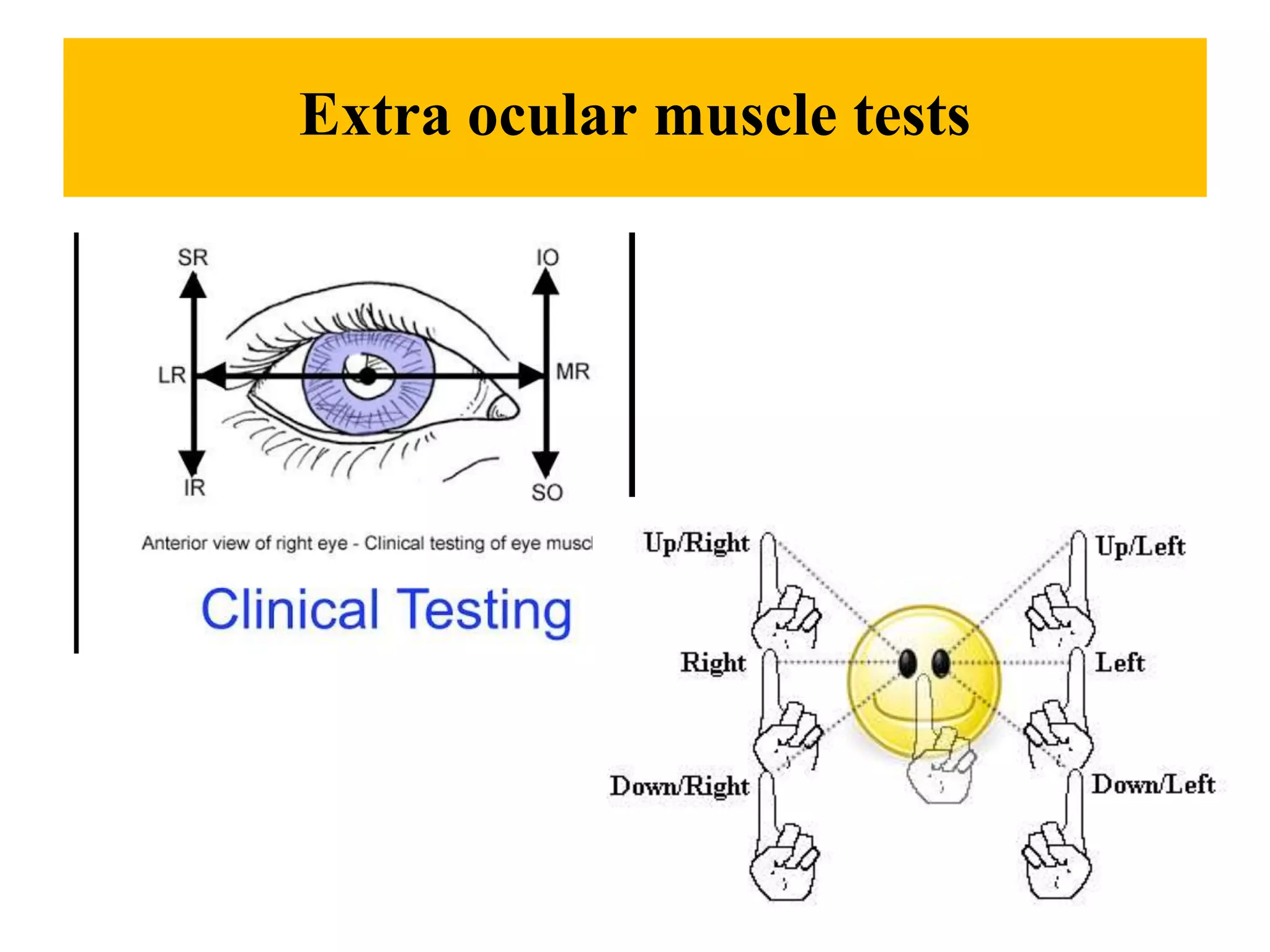 Physical examination head and neck | PPTX