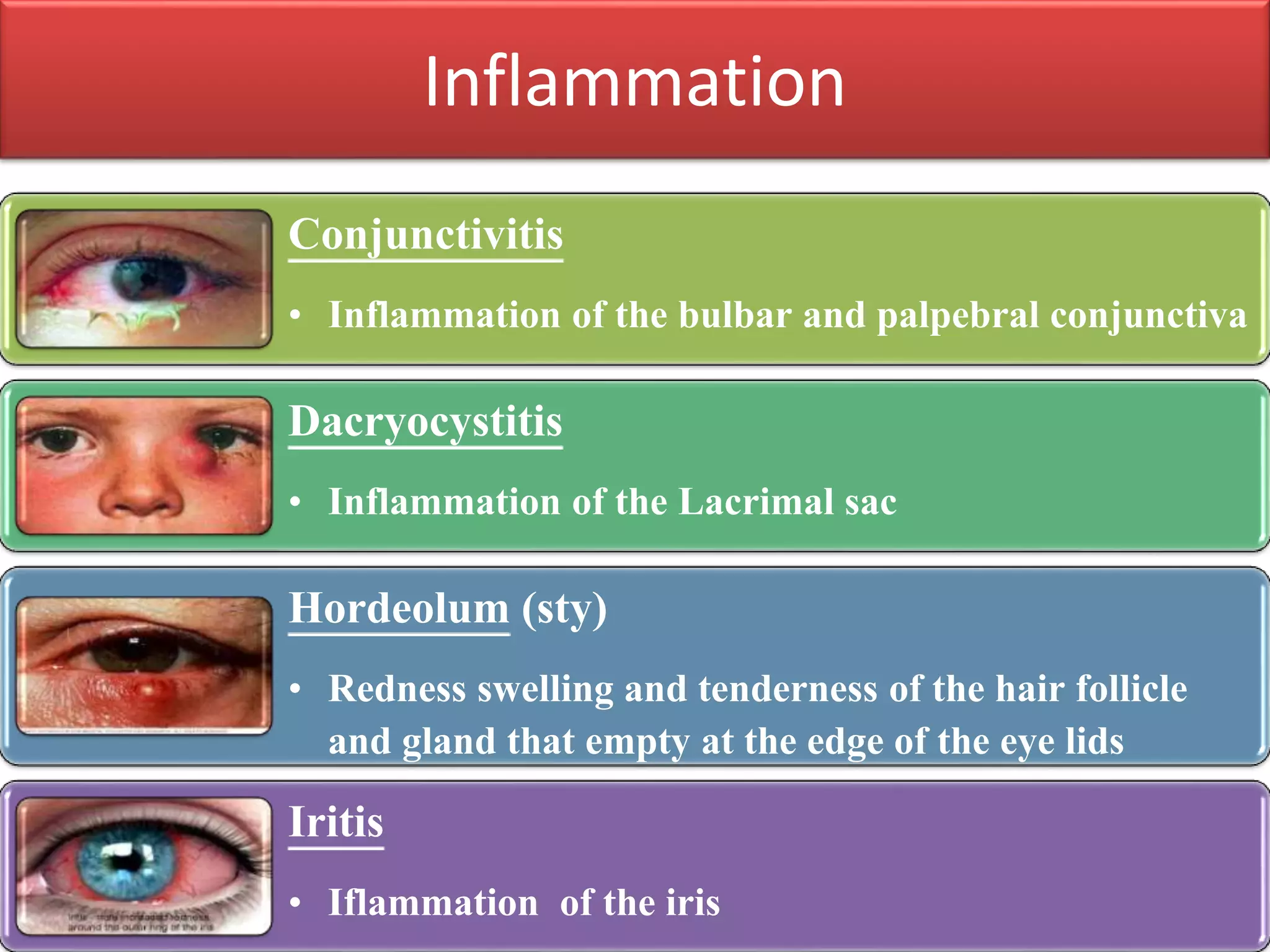 Physical examination head and neck | PPTX
