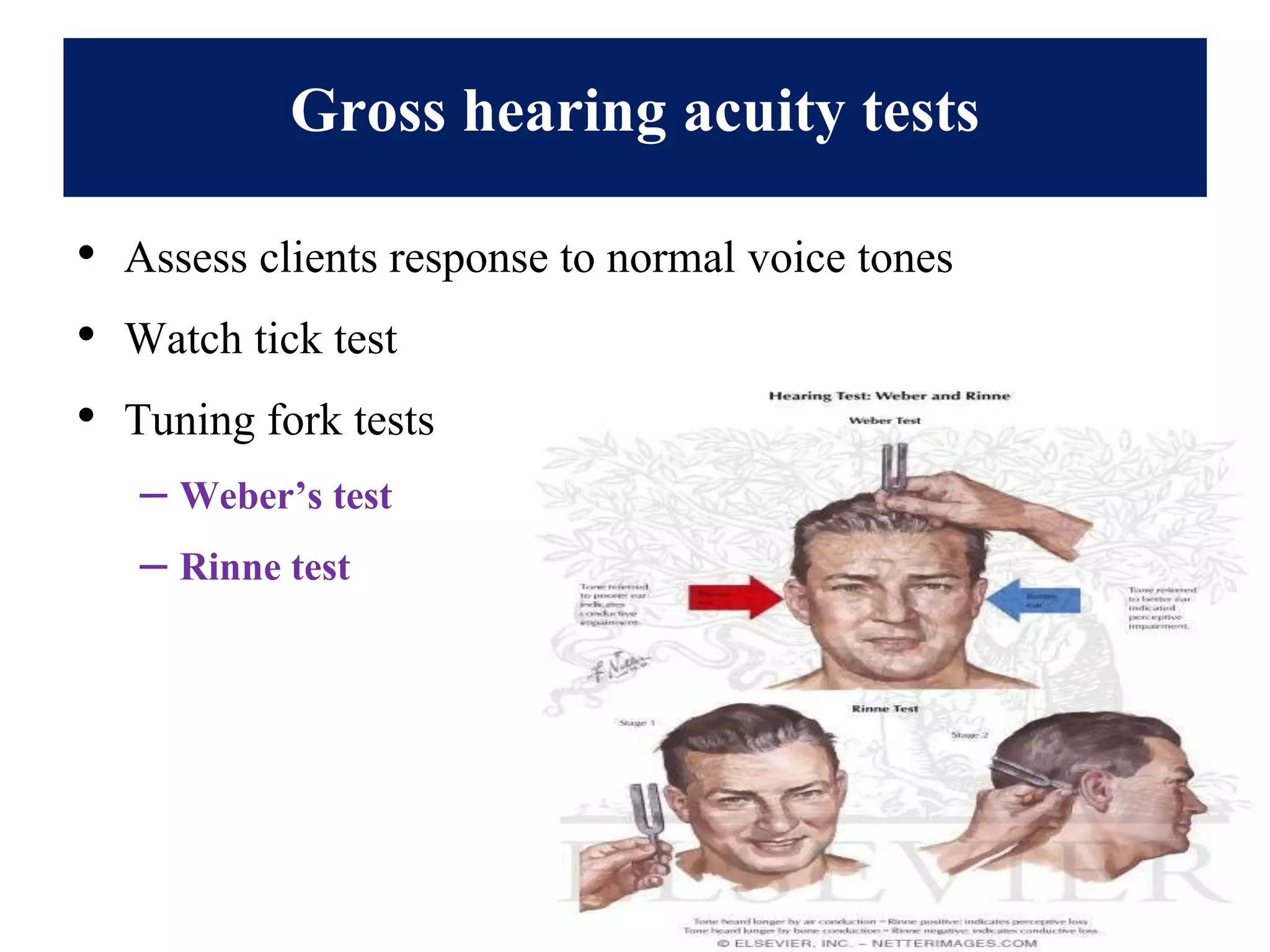 Physical examination head and neck | PPTX