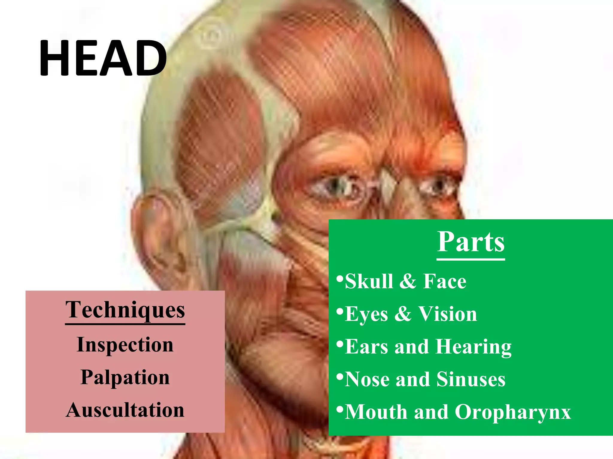 Physical examination head and neck | PPTX