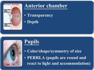 Physical examination head and neck | PPTX