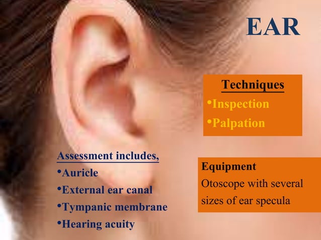 Physical examination head and neck | PPTX