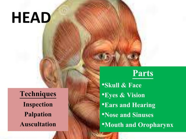 Physical examination head and neck | PPTX