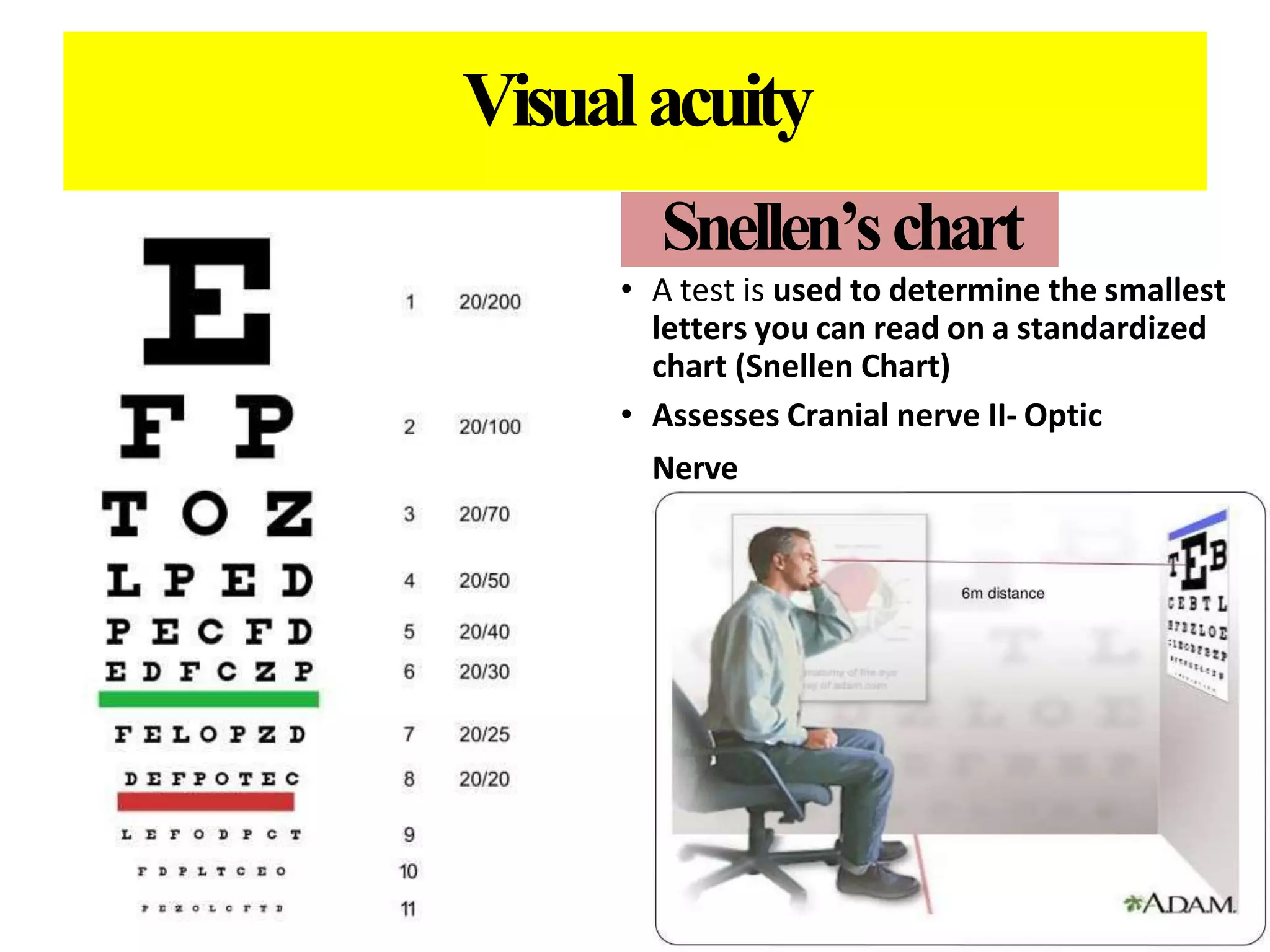 physical examination head and neck.pptx