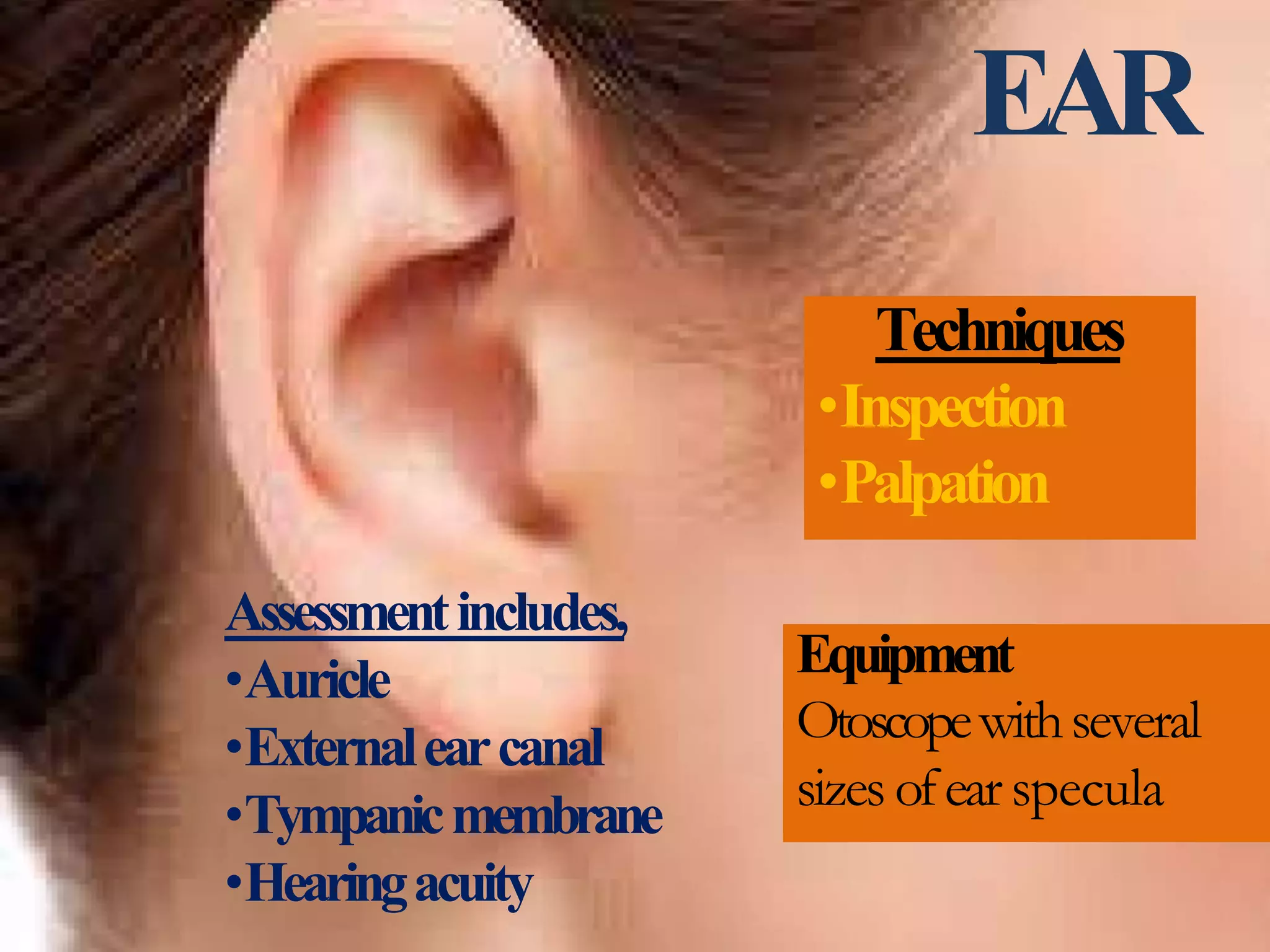physical examination head and neck.pptx