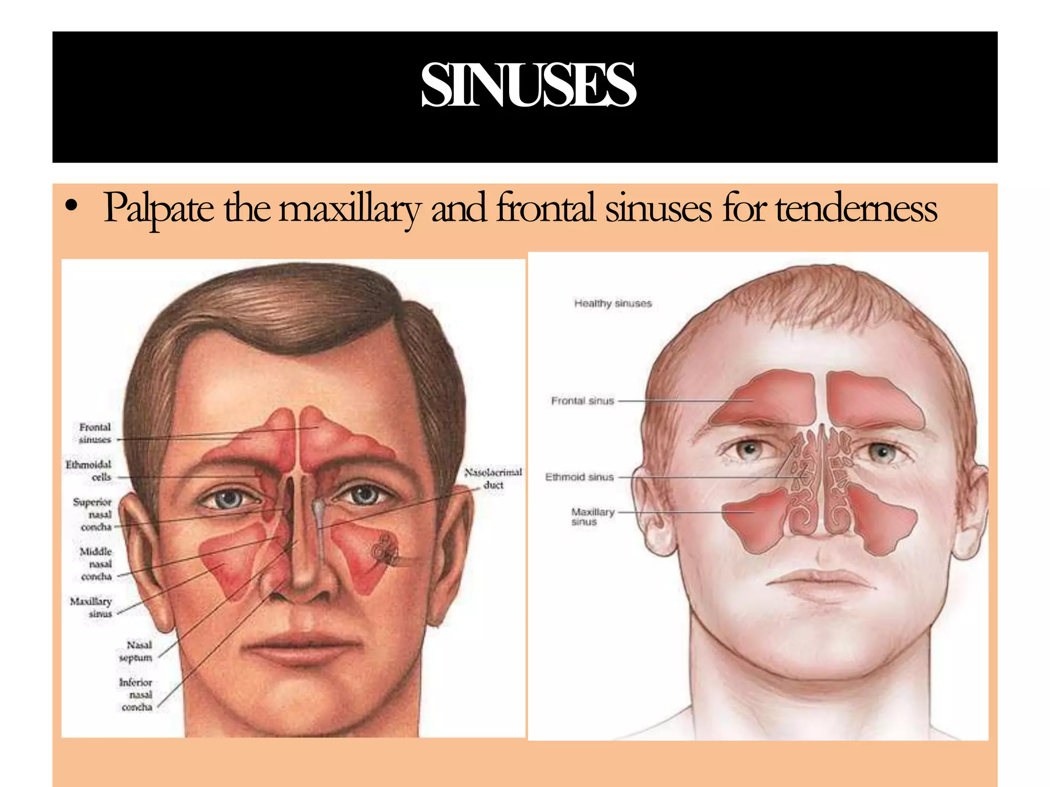 physical examination head and neck.pptx