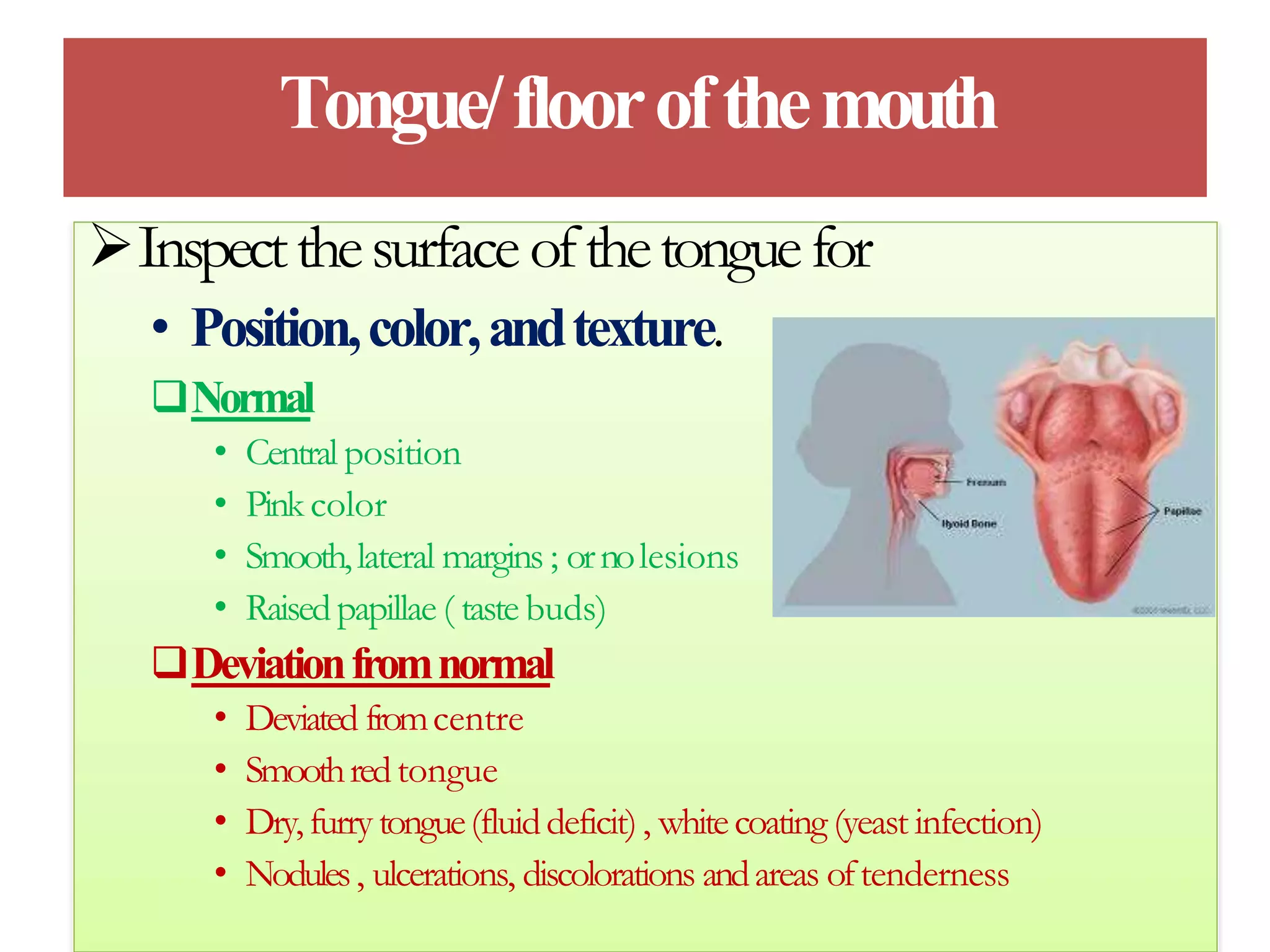 physical examination head and neck.pptx
