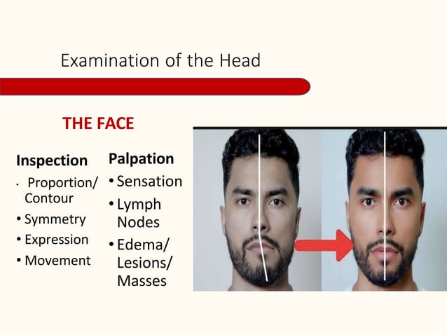 physical examination head and neck.pptx | Ear, Nose and Throat ...