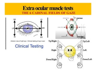 physical examination head and neck.pptx