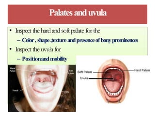 physical examination head and neck.pptx