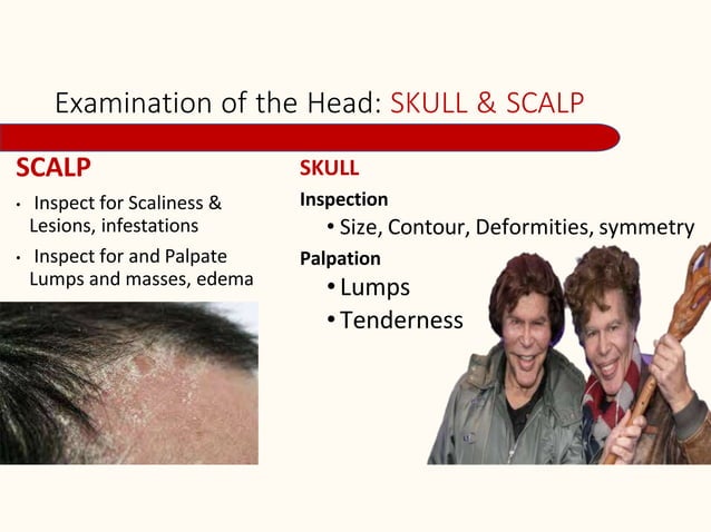 physical examination head and neck.pptx | Ear, Nose and Throat ...