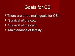 Physical examination of cattle lecture | PPT