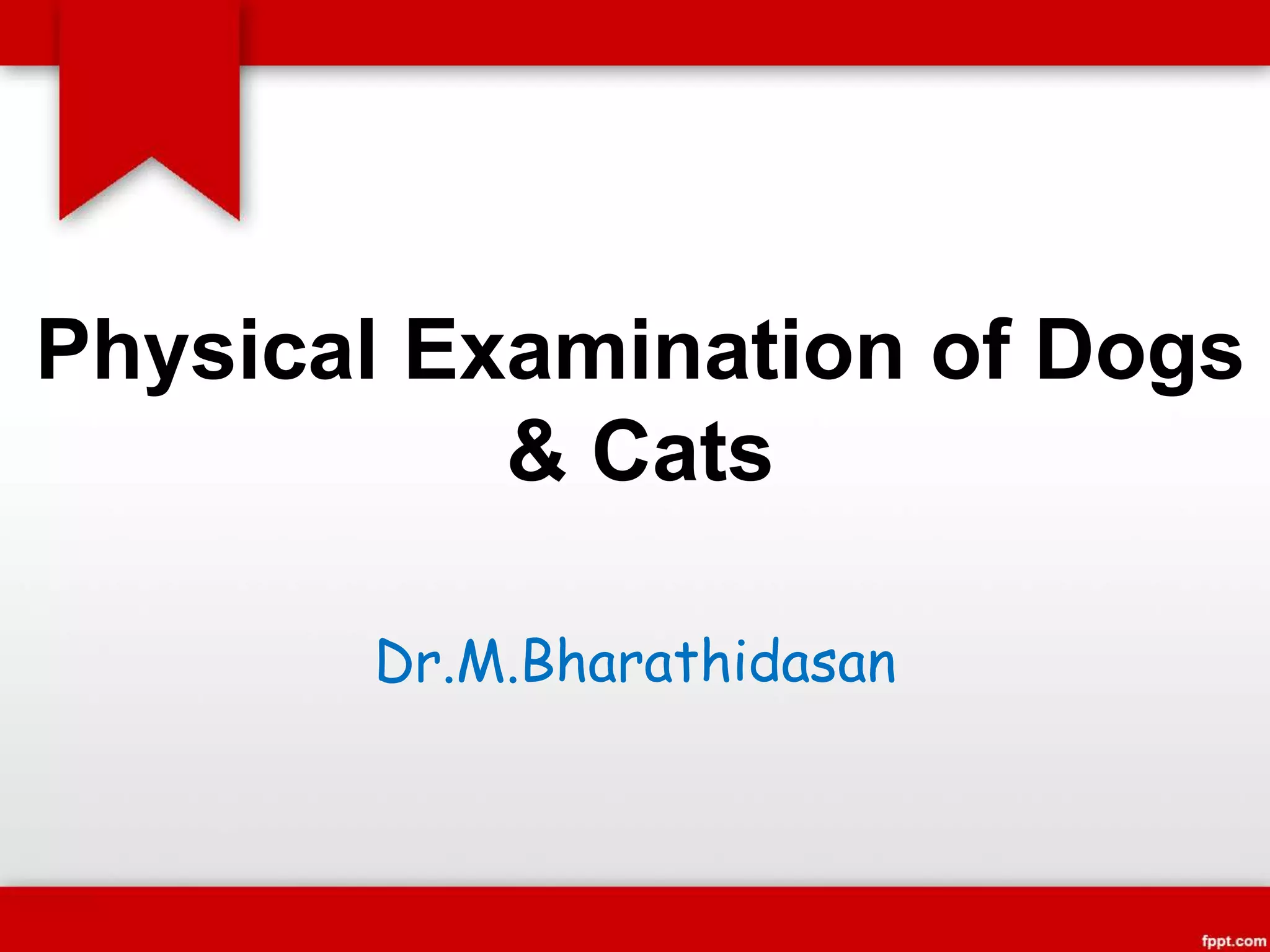 Physical examination of dogs & cats | PPTX