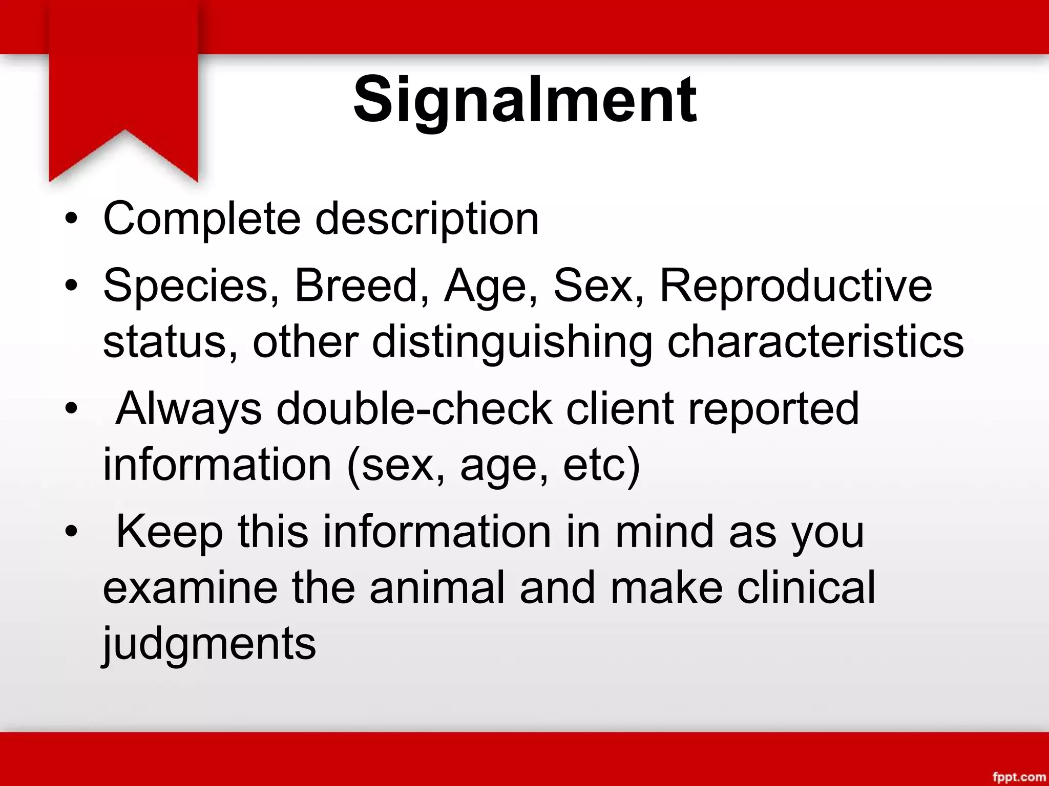 Physical examination of dogs & cats | PPTX