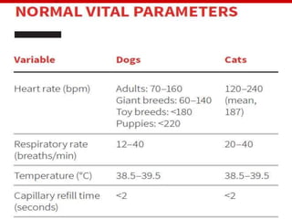 Physical examination of dogs & cats | PPTX