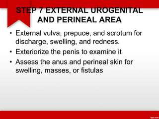 Physical examination of dogs & cats | PPTX