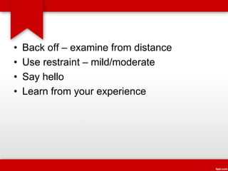 Physical examination of dogs & cats | PPTX
