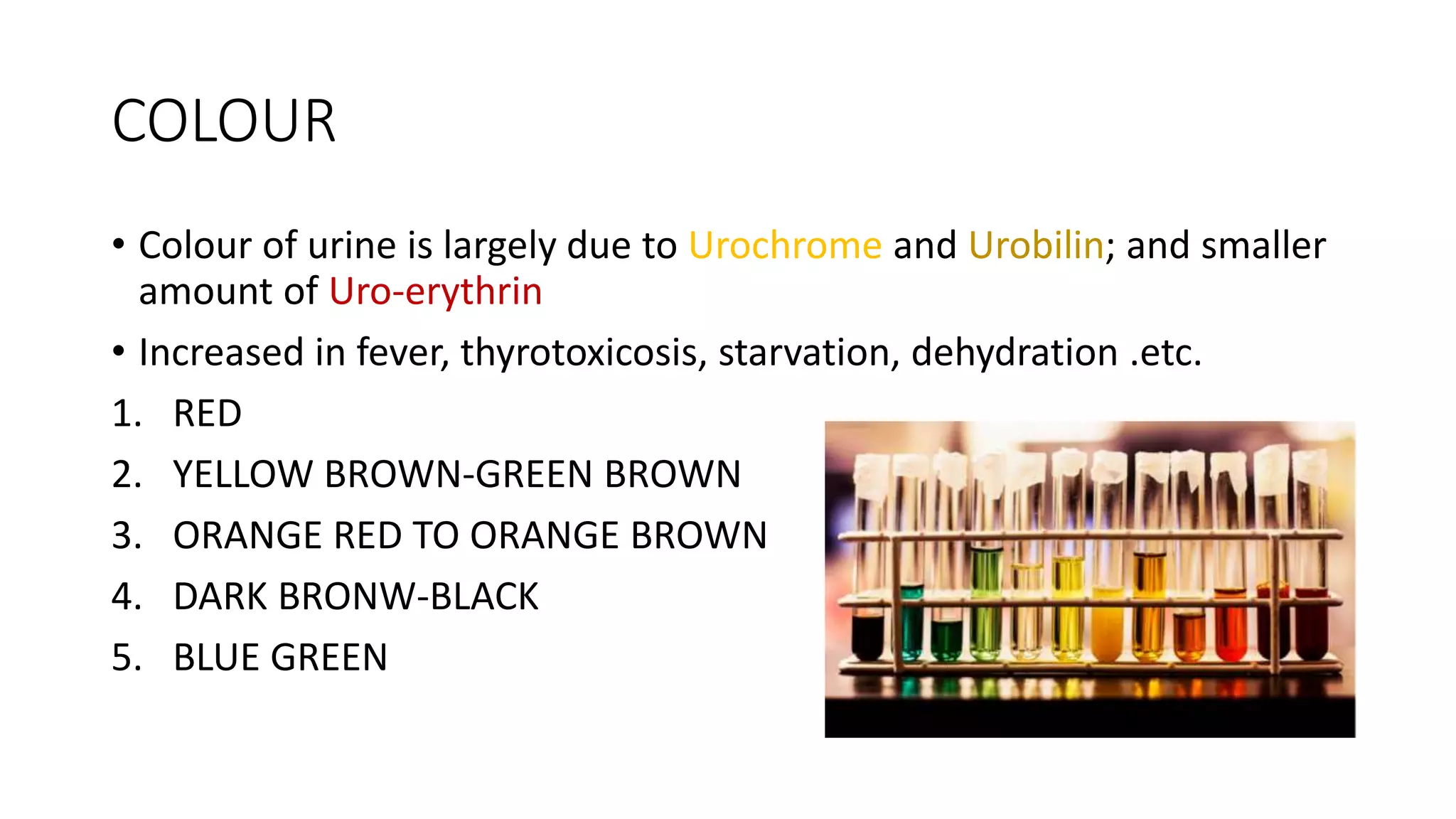 Physical examination of urine | PPTX