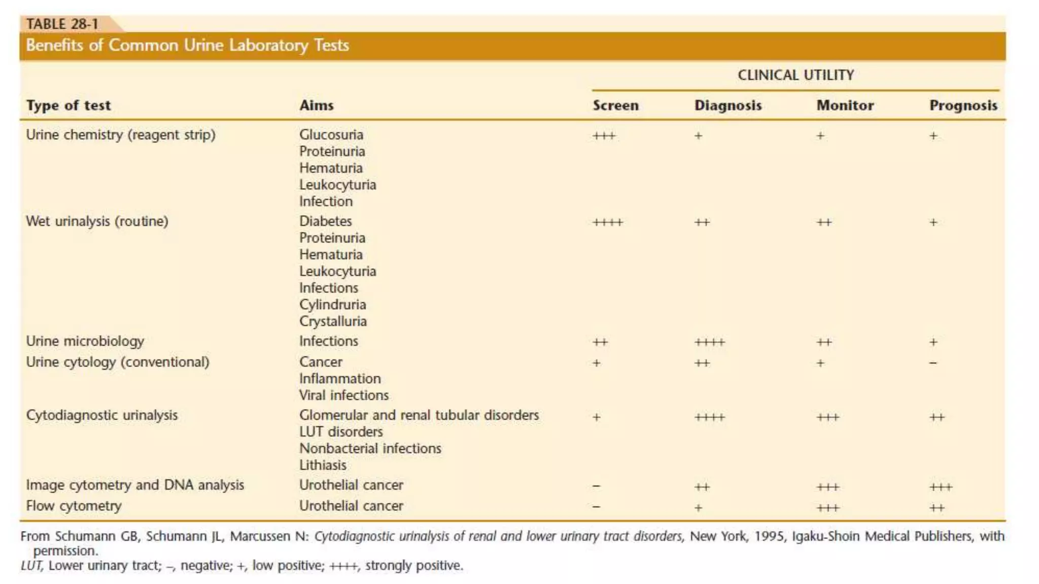 Physical examination of urine | PPTX