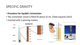 Physical examination of urine | PPTX