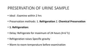 Physical examination of urine | PPTX