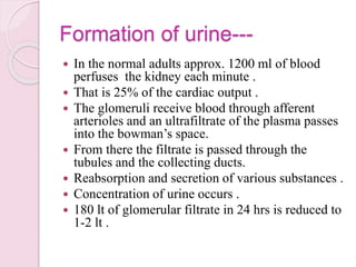 Physical examination of urine | PPTX | Chemistry | Science