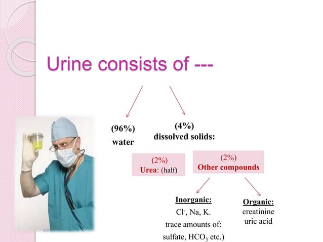 Physical examination of urine | PPTX | Chemistry | Science