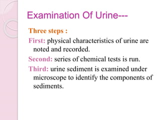 Physical examination of urine | PPTX | Chemistry | Science
