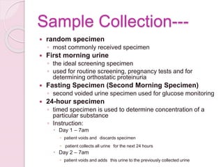 Physical examination of urine | PPTX | Chemistry | Science