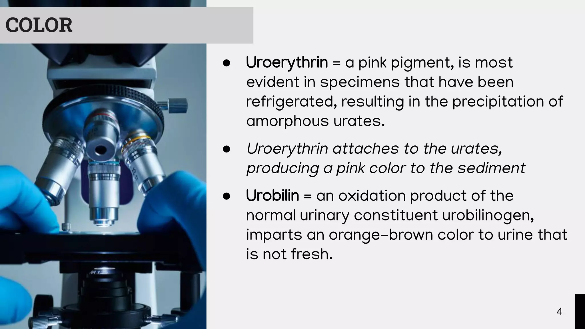 PHYSICAL EXAMINATION OF URINE.pdf