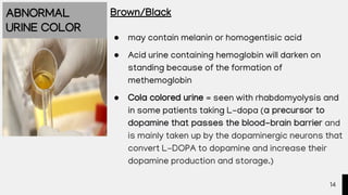 PHYSICAL EXAMINATION OF URINE.pdf