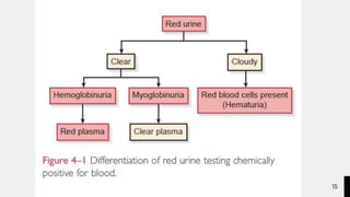 PHYSICAL EXAMINATION OF URINE.pdf