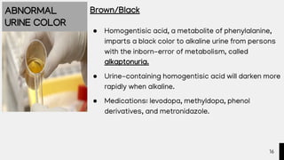 PHYSICAL EXAMINATION OF URINE.pdf