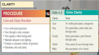 PHYSICAL EXAMINATION OF URINE.pdf