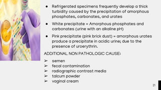 PHYSICAL EXAMINATION OF URINE.pdf