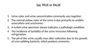 Physical_Examination_of_Urine.David.pptx