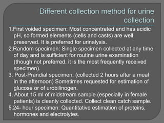 Physical examination of urine (4) | PPTX