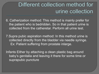 Physical examination of urine (4) | PPTX