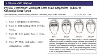 Physical examination : Mallampati score as an independent predictor of ...