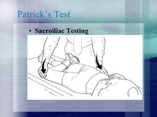 Physical examination signs | PPT