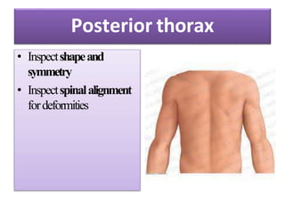 physicalexaminationthoraxandlungs-171115065133.pptx