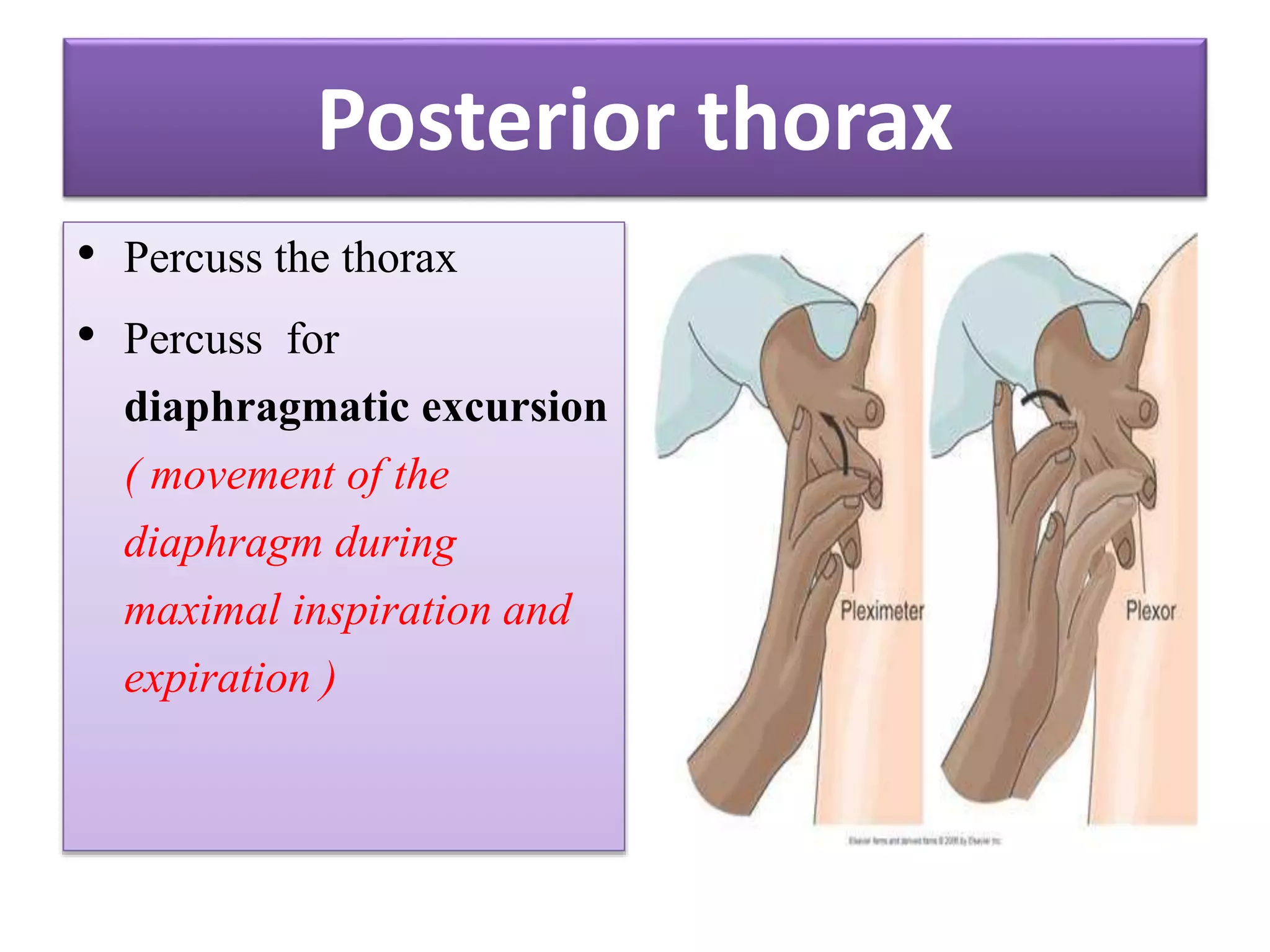 Physical examination thorax and lungs | PPTX