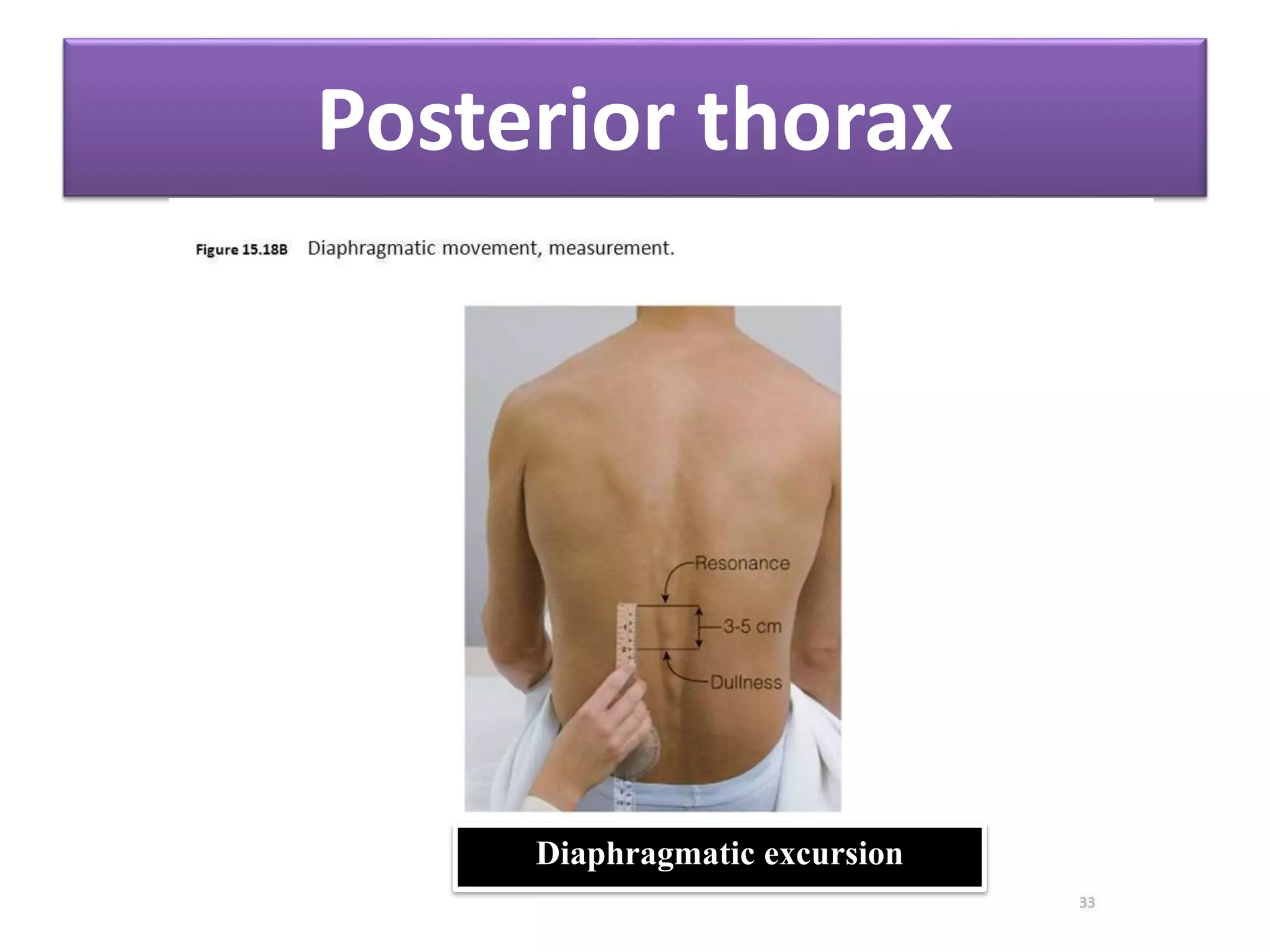 Physical examination thorax and lungs | PPTX