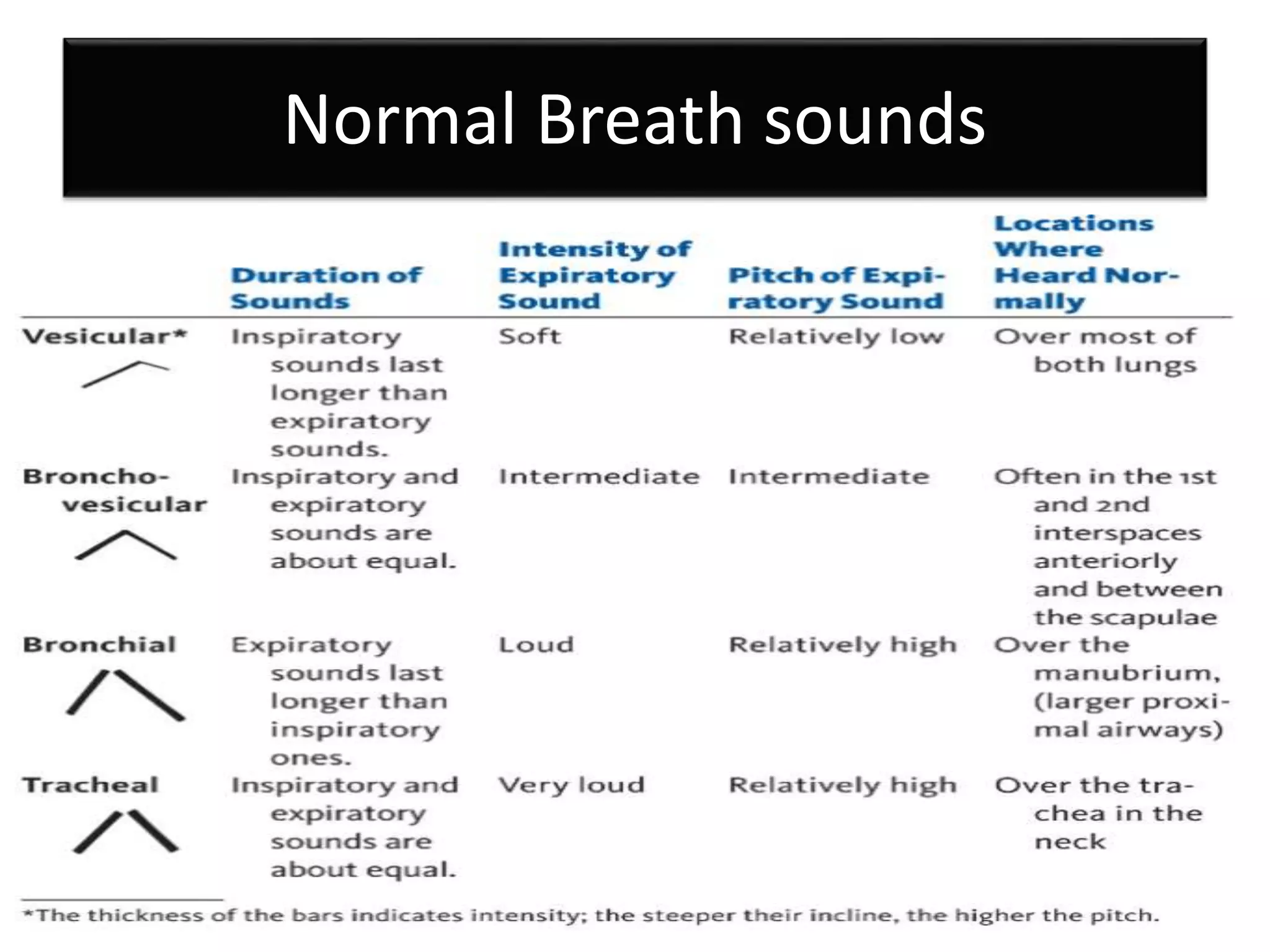 Physical examination thorax and lungs | PPTX