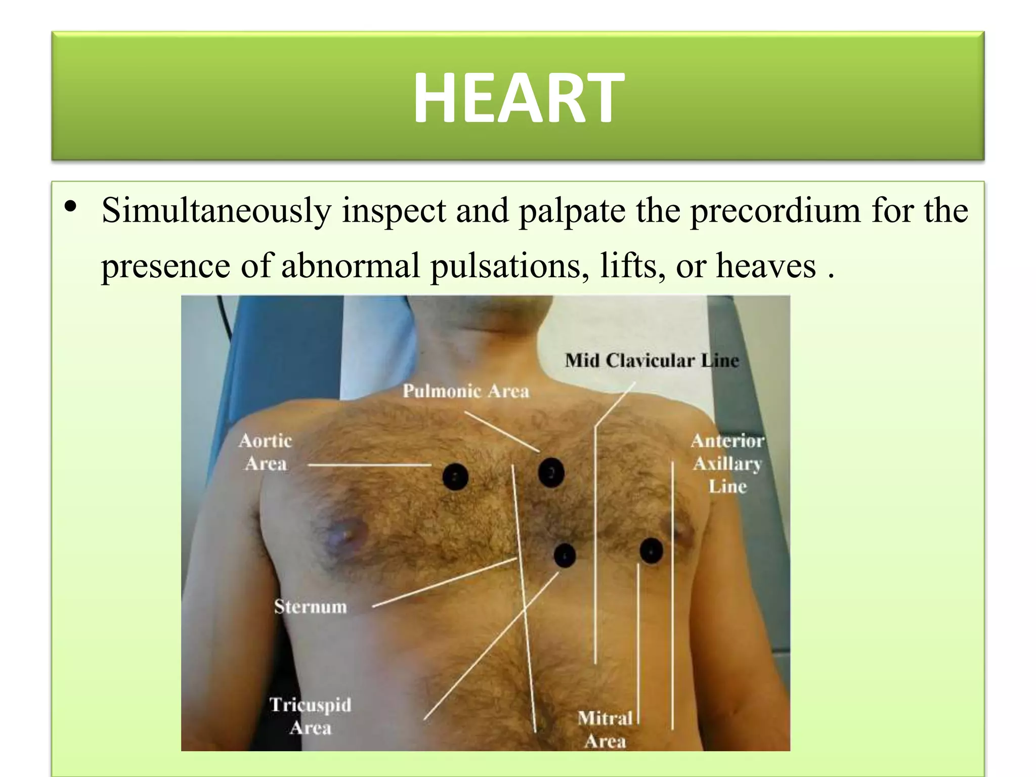 Physical examination thorax and lungs | PPTX