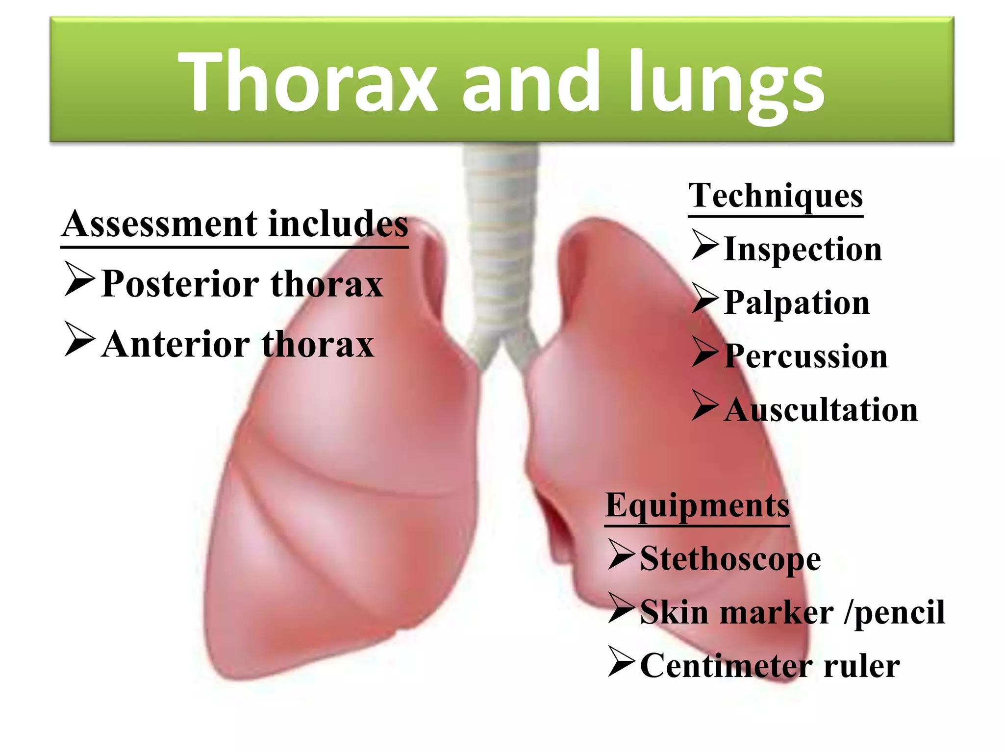 Physical examination thorax and lungs | PPTX