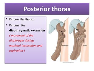 Physical examination thorax and lungs | PPTX
